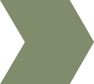 Application process - AZ Justice Project